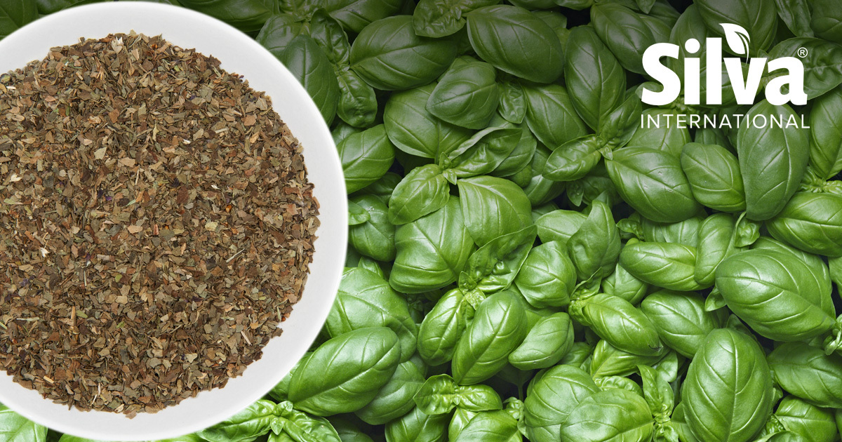 Basil | Silva International