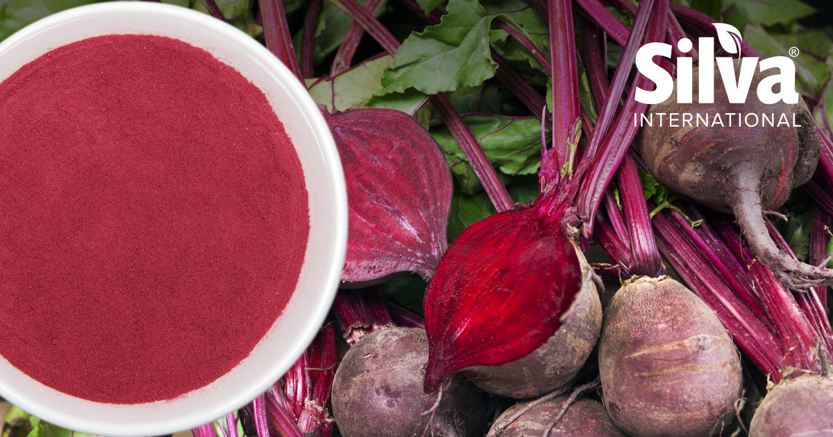 Beets, Red | Silva International