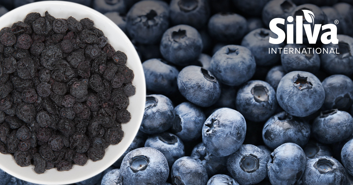 Blueberries, All-Natural | Silva International