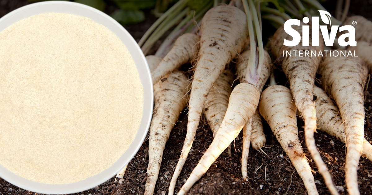 Parsnip | Silva International