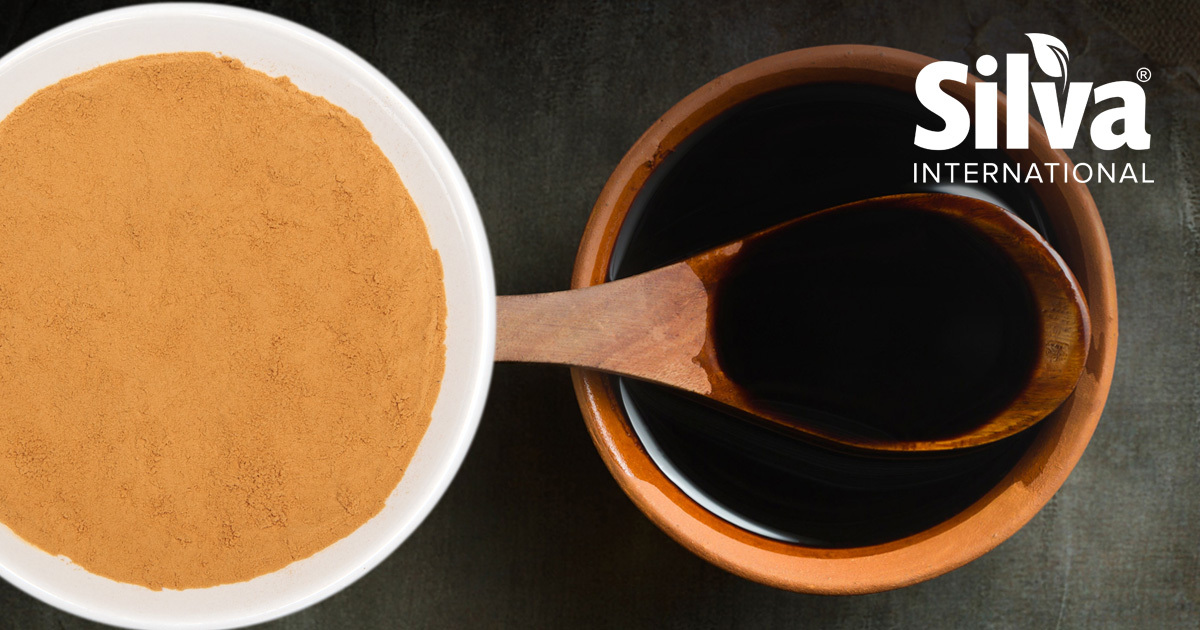 Soy Sauce | Silva International