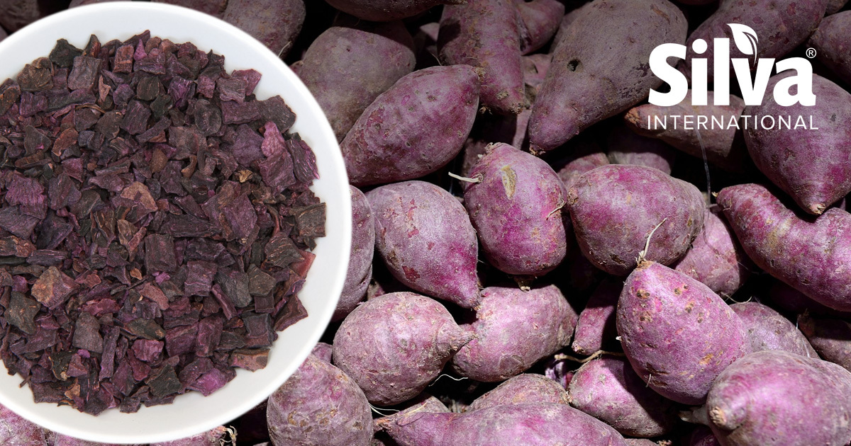 Sweet Potatoes, Purple | Silva International