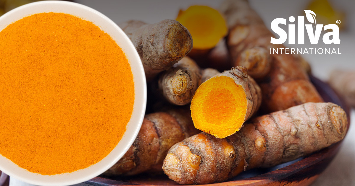 Turmeric | Silva International